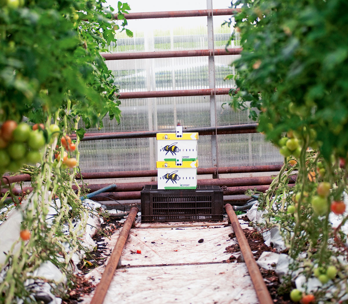 How Collecting Data can Promote the Growth of Organic Agriculture. Find ...