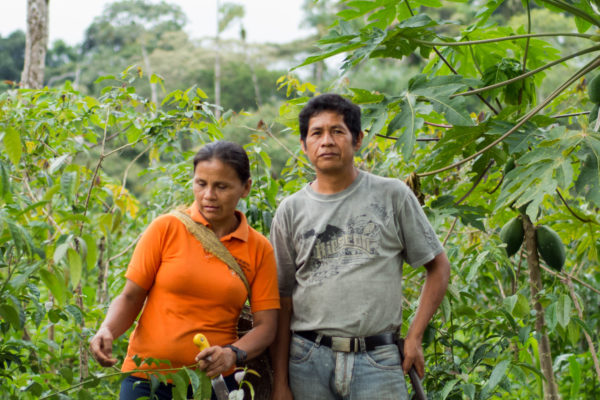 Empowering Local Communities through Reforstation in the Amazon