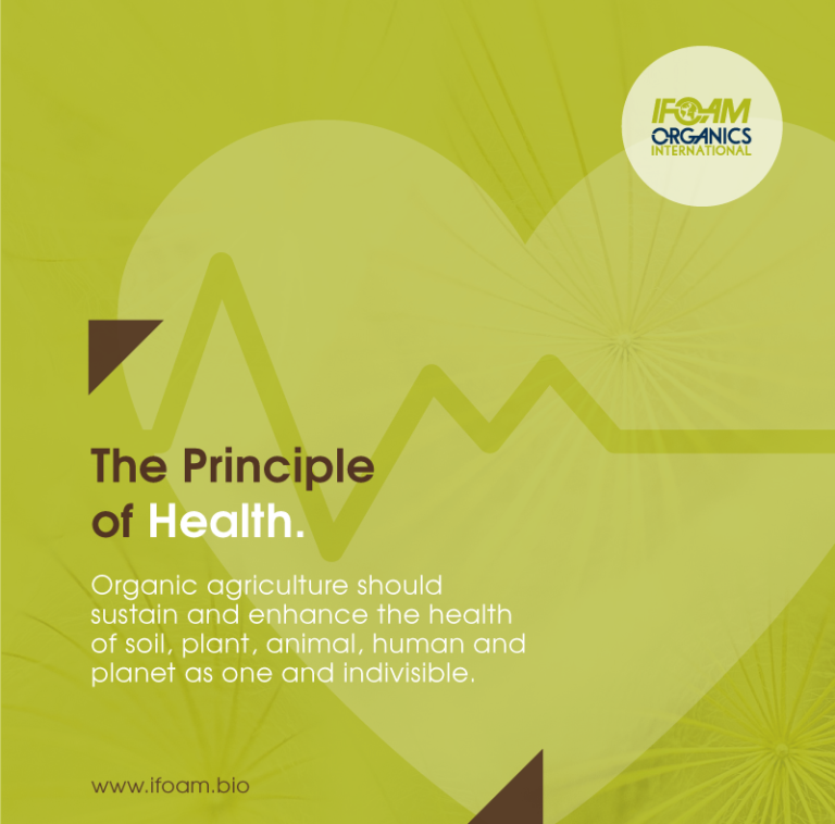 Happy World Health Day - Health is One of the Four Principles of ...