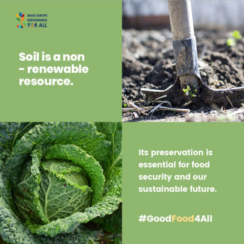 Why we need to restore and maintain healthy soils to achieve the ...