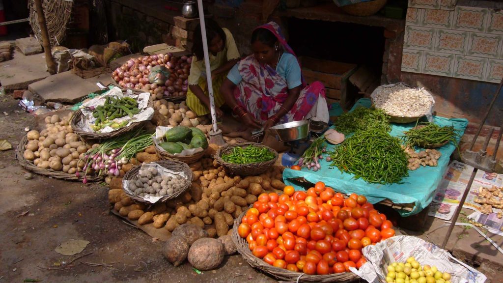 Spotlight on the Himalayas: Organic Policies in Bhutan, India and Nepal