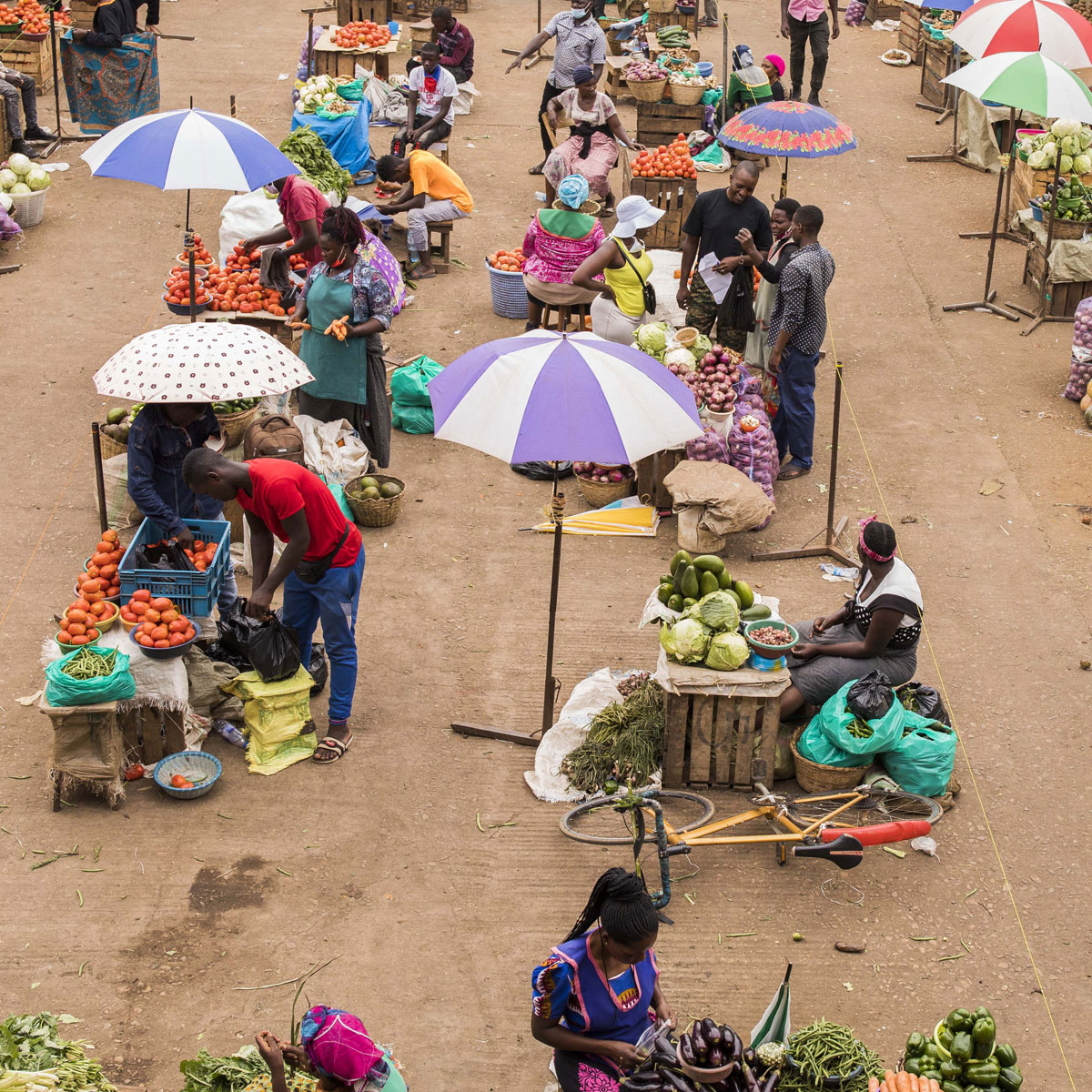 The Resilience of Smallholder Farmers in Times of Crisis