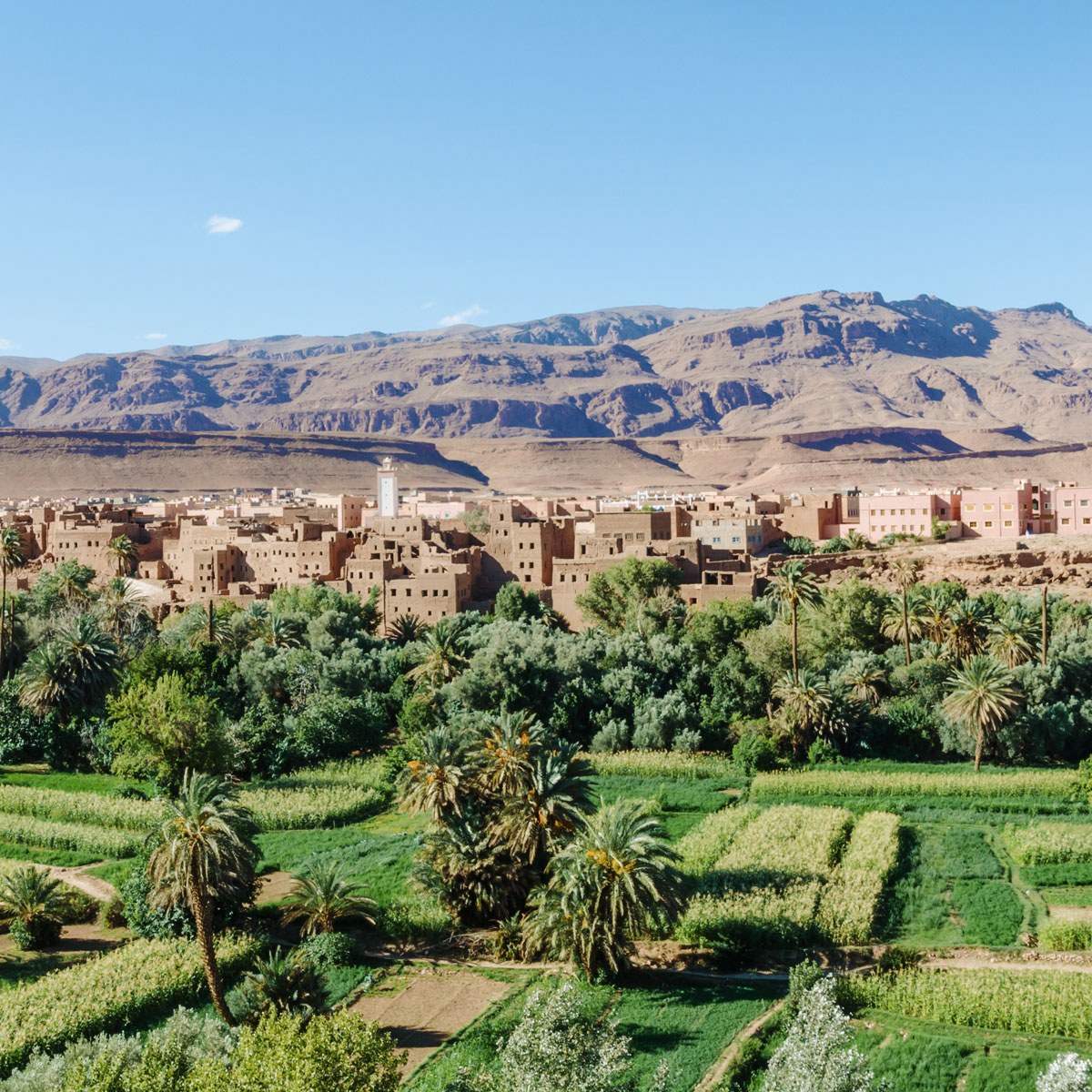 IFOAM – Organics International Supporting the Growth of Organic in Morocco