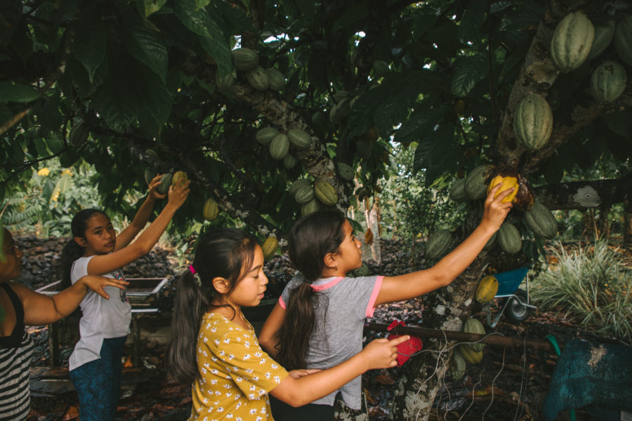 The Bittersweet Life of an Organic Woman Farmer in Samoa (Part 2)