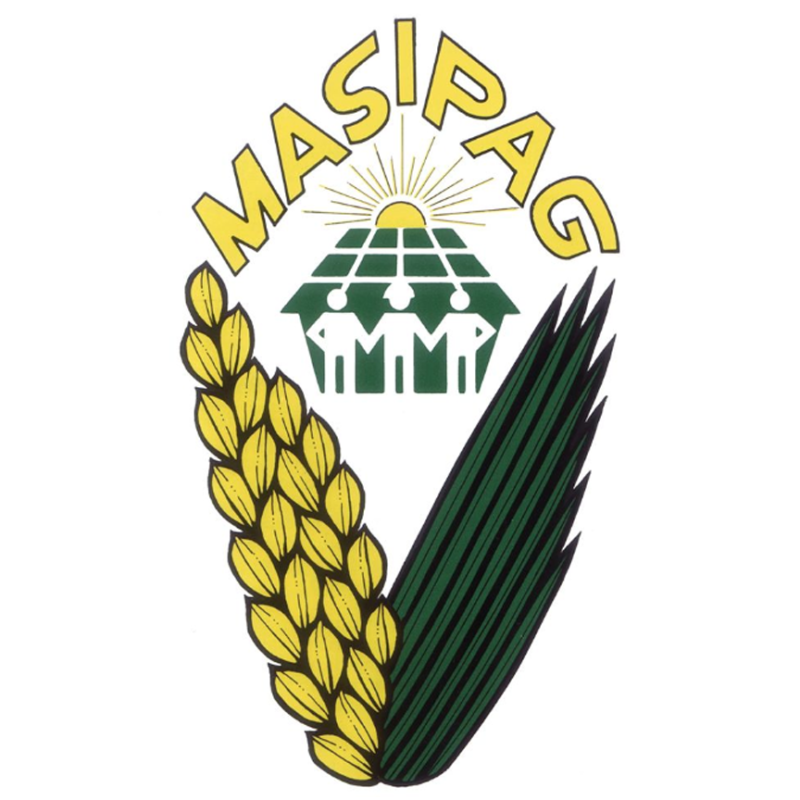 Seeds, the beginning of life!