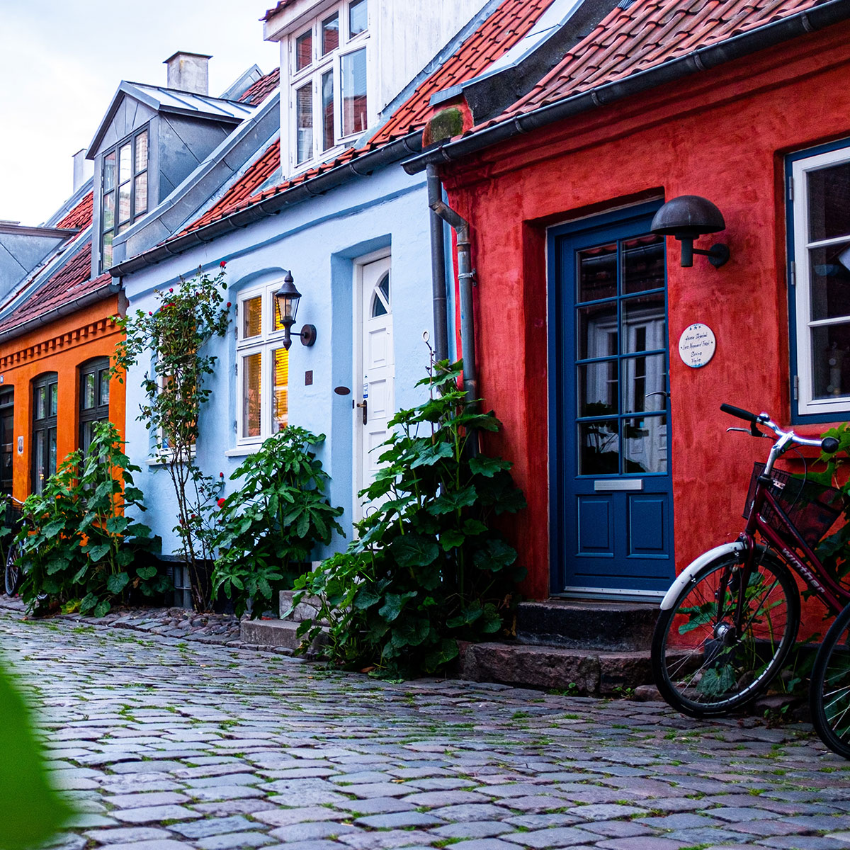 How the Organic Movement in Denmark Influenced National and Global Change