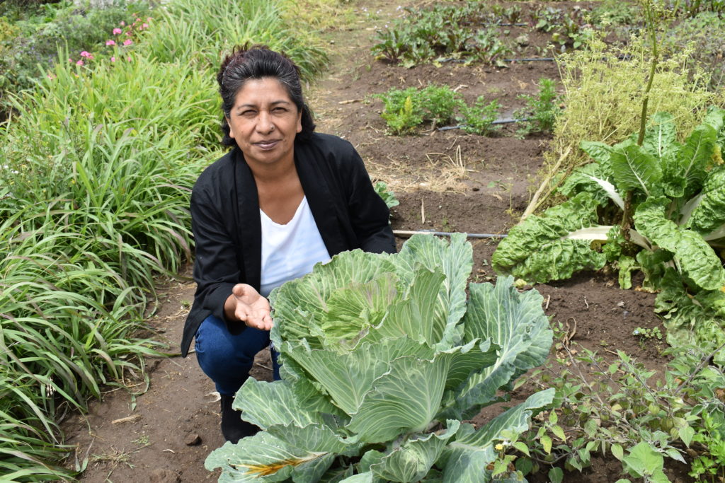 How Organic Agriculture is Transforming Lives in Ecuador