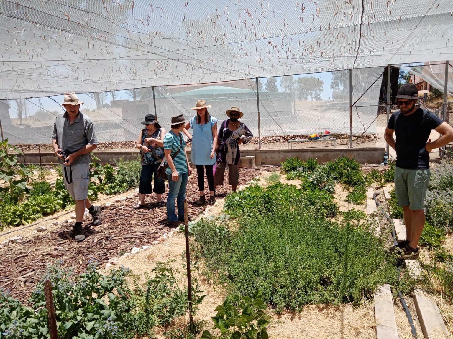 How the Namibian Organic Association Is Using PGS to Boost Local Markets