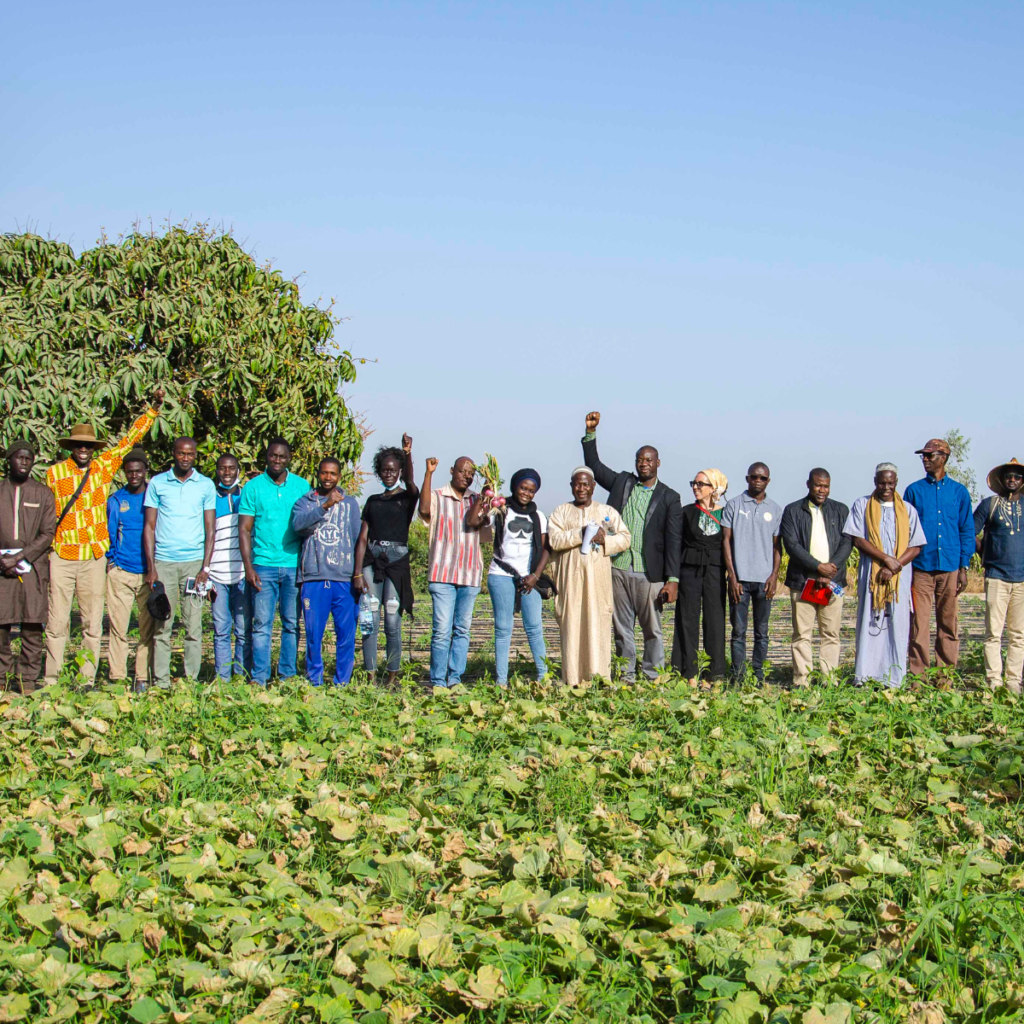 How FENAB Uses Collaboration to Further the Development of Organic in ...