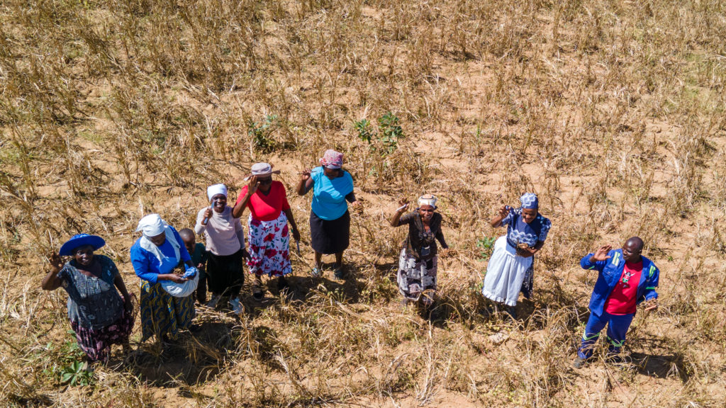 Resuscitating Zimbabwe's Traditional Crops